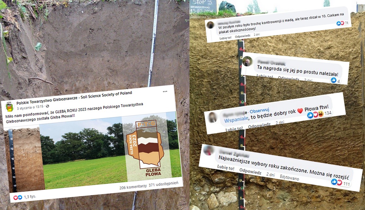 W konkursie na glebę roku wygrała gleba płowa, a to zawsze jakiś powód ...