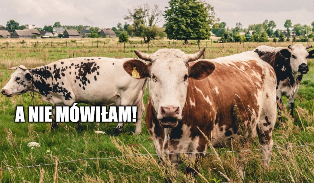 Badanie: wielkie miasta okazują się emitować więcej metanu, niż ...